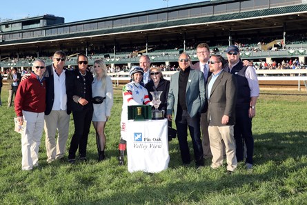 Lady Prancealot (IRE) - Horse Profile - BloodHorse