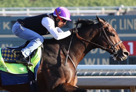 McKinzie - Horse Profile - BloodHorse