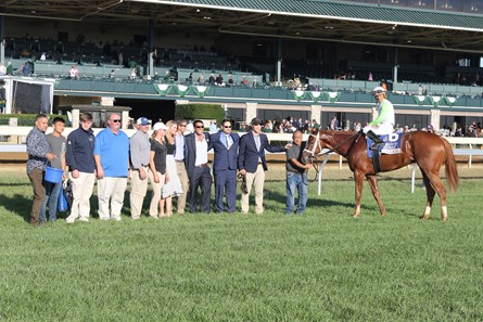 British Idiom - Horse Profile - BloodHorse