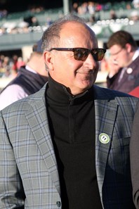 Lady Prancealot (IRE) - Horse Profile - BloodHorse