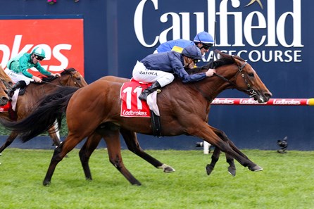 Cape of Good Hope (IRE) - Horse Profile - BloodHorse