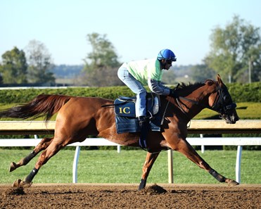Blue Prize (ARG) - Horse Profile - BloodHorse