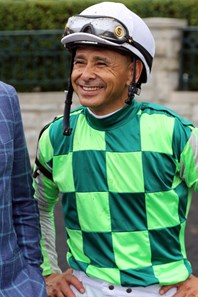 Kimari - Horse Profile - BloodHorse