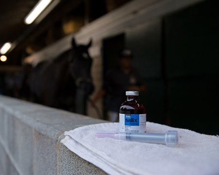 NYRA to Ban Lasix in Stakes Beginning Jan. 1 - BloodHorse