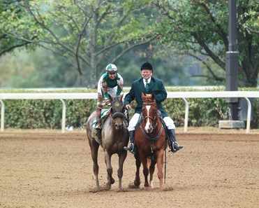 Blue Prize (ARG) - Horse Profile - BloodHorse