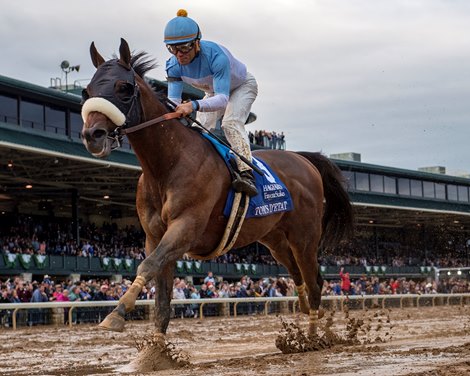 Week in Photos 10/29/2019 - Slideshow - BloodHorse