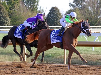 British Idiom - Horse Profile - BloodHorse