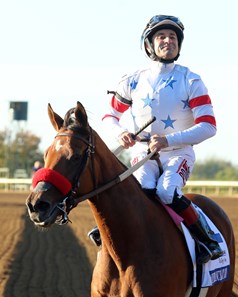 Lady Prancealot (IRE) - Horse Profile - BloodHorse