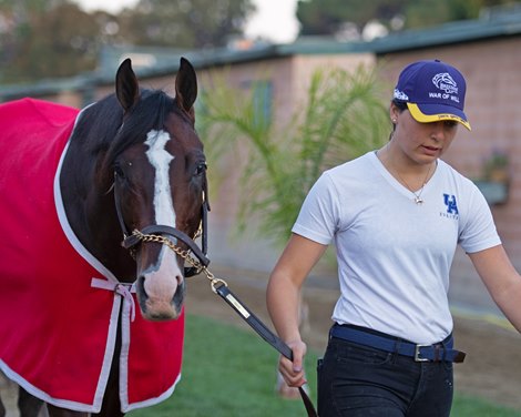 War of Will Stands Out in Sunshine Forever Field - BloodHorse