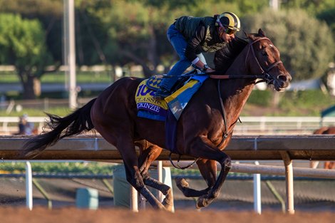 McKinzie Faces Code of Honor in Breeders' Cup Classic - BloodHorse