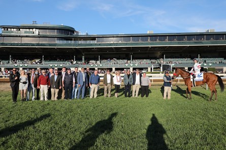 Lady Prancealot (IRE) - Horse Profile - BloodHorse