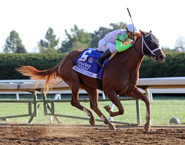 British Idiom - Horse Profile - BloodHorse