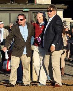 Lady Prancealot (IRE) - Horse Profile - BloodHorse