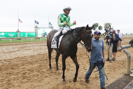 Kimari - Horse Profile - BloodHorse