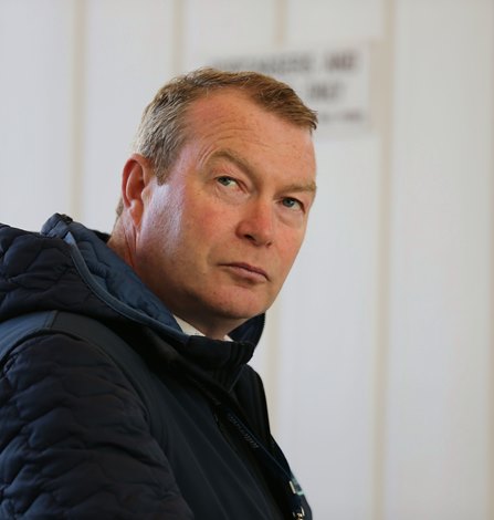 Gold Standard Sale for Adrian O'Brien at Tattersalls - BloodHorse