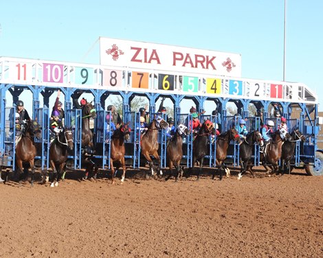 Jamie Zamora Named Racing Secretary at Zia Park - BloodHorse