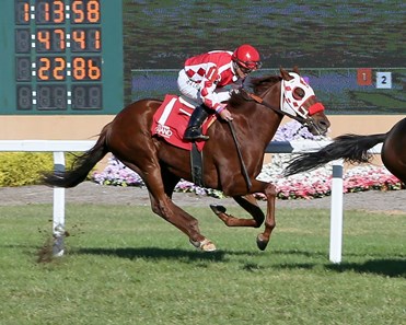 Wicked Slider - Horse Profile - BloodHorse