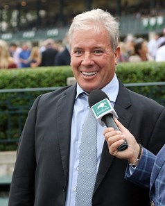 Kimari - Horse Profile - BloodHorse