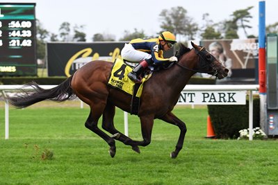 Equibase | Horse Racing | Horse Racing Entries | Horse Racing Results ...