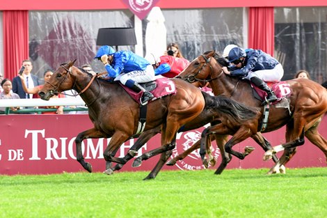 Victor Ludorum Faces Old Rivals in Fontainbleau - BloodHorse