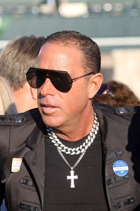 Lady Prancealot (IRE) - Horse Profile - BloodHorse