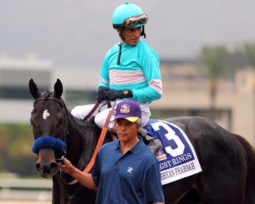 Eight Rings - Horse Profile - BloodHorse