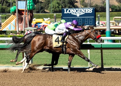 Fore Left - Horse Profile - BloodHorse