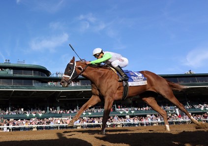 British Idiom - Horse Profile - BloodHorse