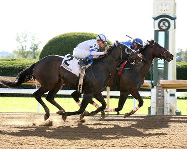 Done Deal - Horse Profile - BloodHorse