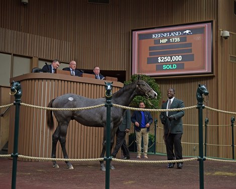 Renee Dailey Scores Connect Colt for $250,000 - BloodHorse