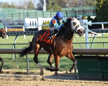 Sara Sea - Horse Profile - BloodHorse