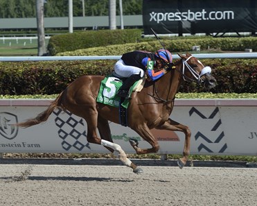 Tonalist's Shape - Horse Profile - BloodHorse