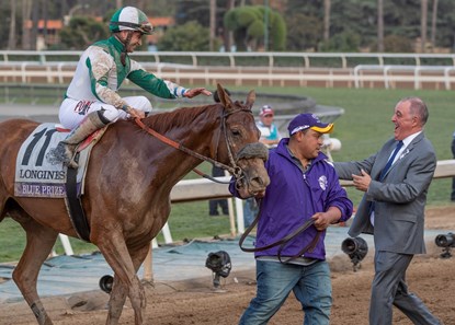 Blue Prize (ARG) - Horse Profile - BloodHorse