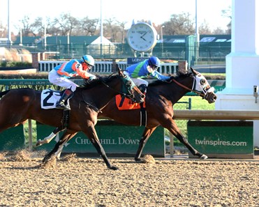 Sara Sea - Horse Profile - BloodHorse