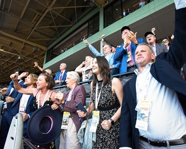 Bricks and Mortar - Horse Profile - BloodHorse