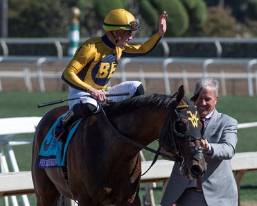 Four Wheel Drive - Horse Profile - BloodHorse