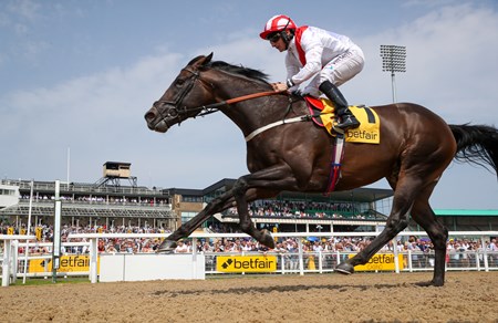 Invincible Army (IRE) - Horse Profile - BloodHorse