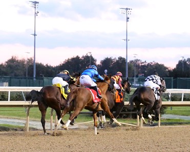 Sally's Curlin - Horse Profile - BloodHorse