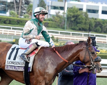 Blue Prize (ARG) - Horse Profile - BloodHorse