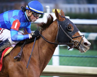 Sally's Curlin - Horse Profile - BloodHorse