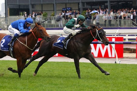 Exceedance Confirms Stallion Value With Coolmore Win - BloodHorse