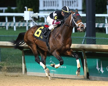 Recruiting Ready - Horse Profile - BloodHorse