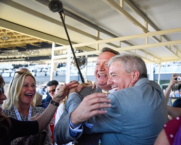 Four Wheel Drive - Horse Profile - BloodHorse