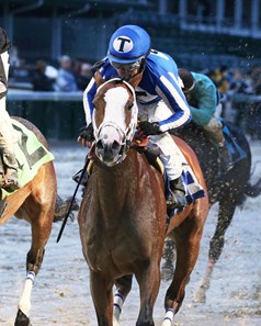 Mailman Money - Horse Profile - BloodHorse