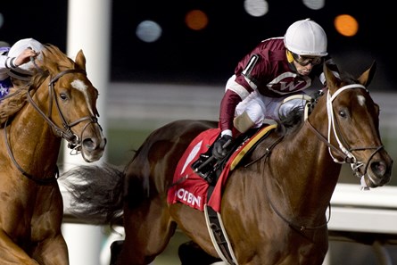 Halo Again - Horse Profile - BloodHorse