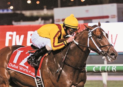 Curlin - Horse Profile - BloodHorse