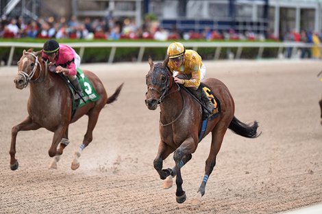 Diamond Oops Shines Bright in Mr. Prospector Stakes - BloodHorse