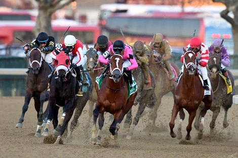 Maximum Security Goes All the Way in Cigar Mile - BloodHorse