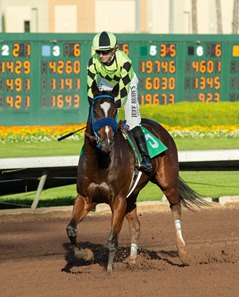 Talamo Scores 2,000th Career Victory at Los Alamitos - BloodHorse
