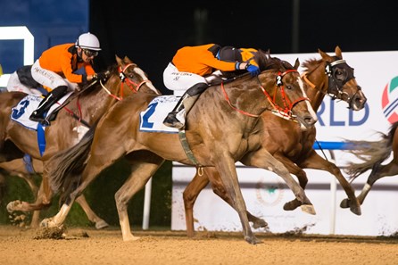 Celtic Prince (GB) - Horse Profile - BloodHorse